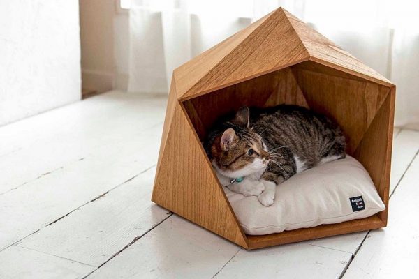 4 ways to make houses for your pet with recycled materials